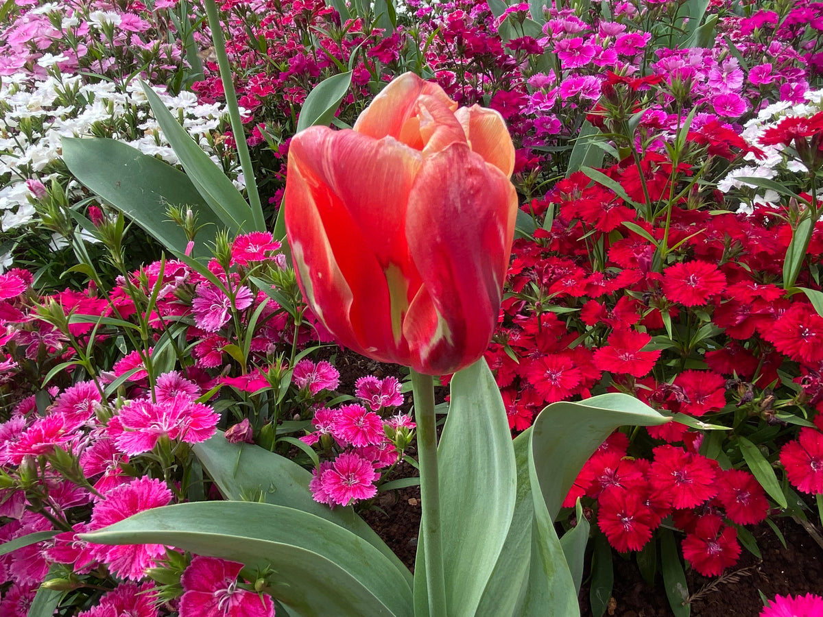 Welcome Back Lunch – QSQuilting